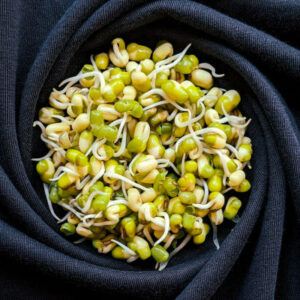 How to Grow Organic Sprouts | Green Your Thumb